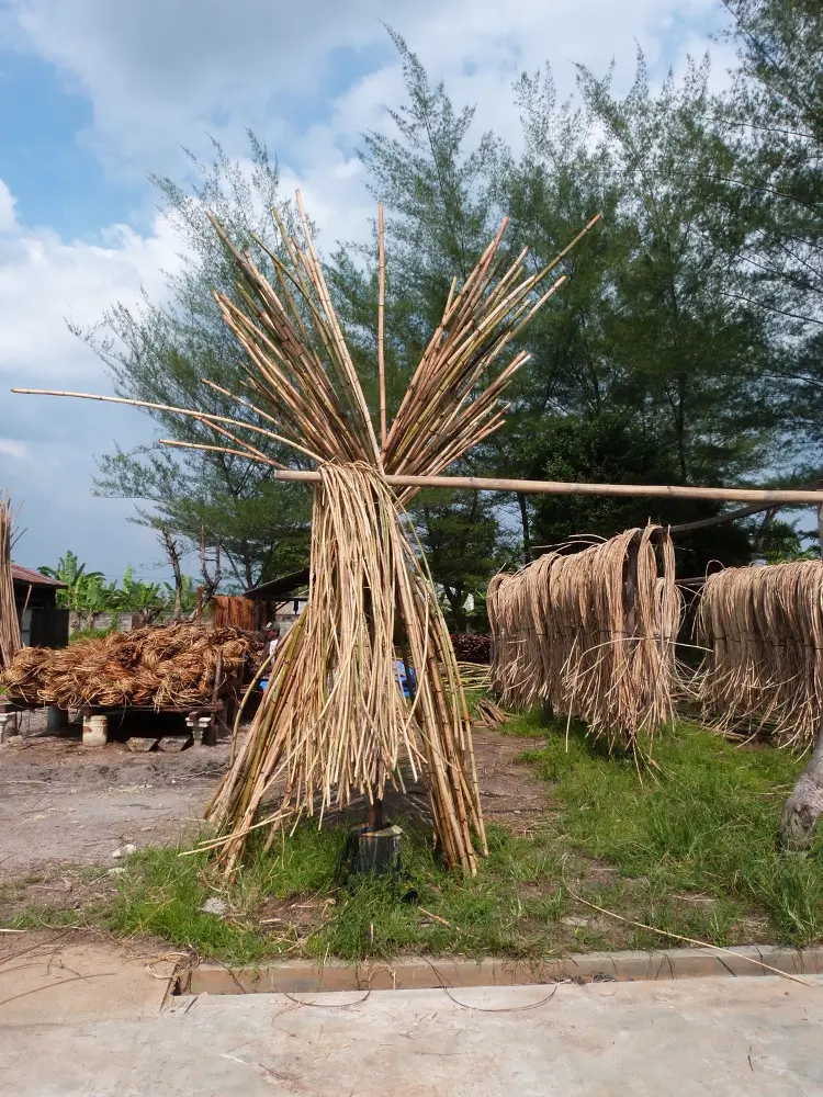 rattan : preparation of the material - KOK MAISON